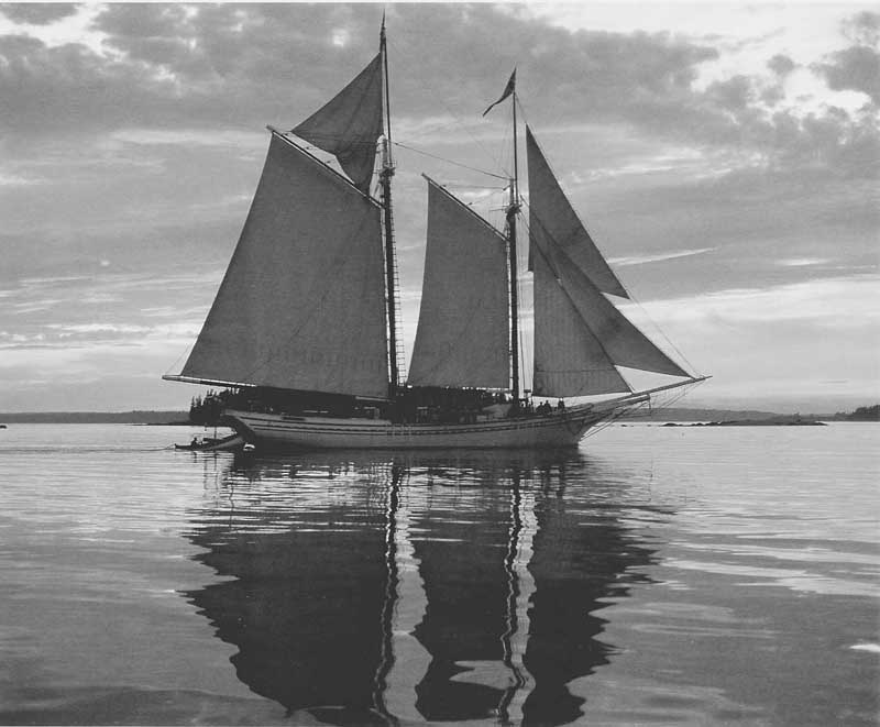 New Tall Ship For Mixed New Tall Ship For Mixed